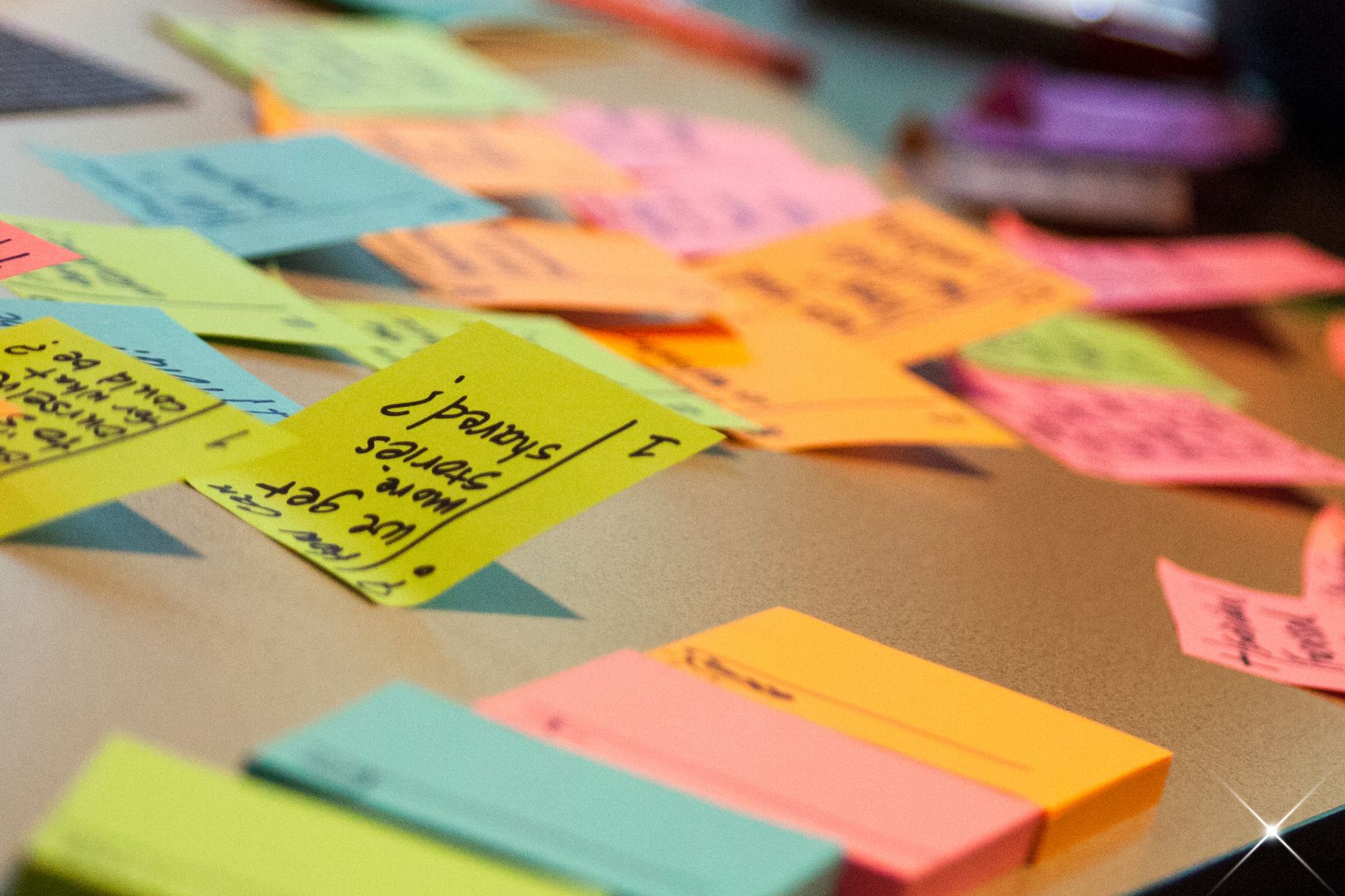 LSA Strategic Plan | Lifetime support